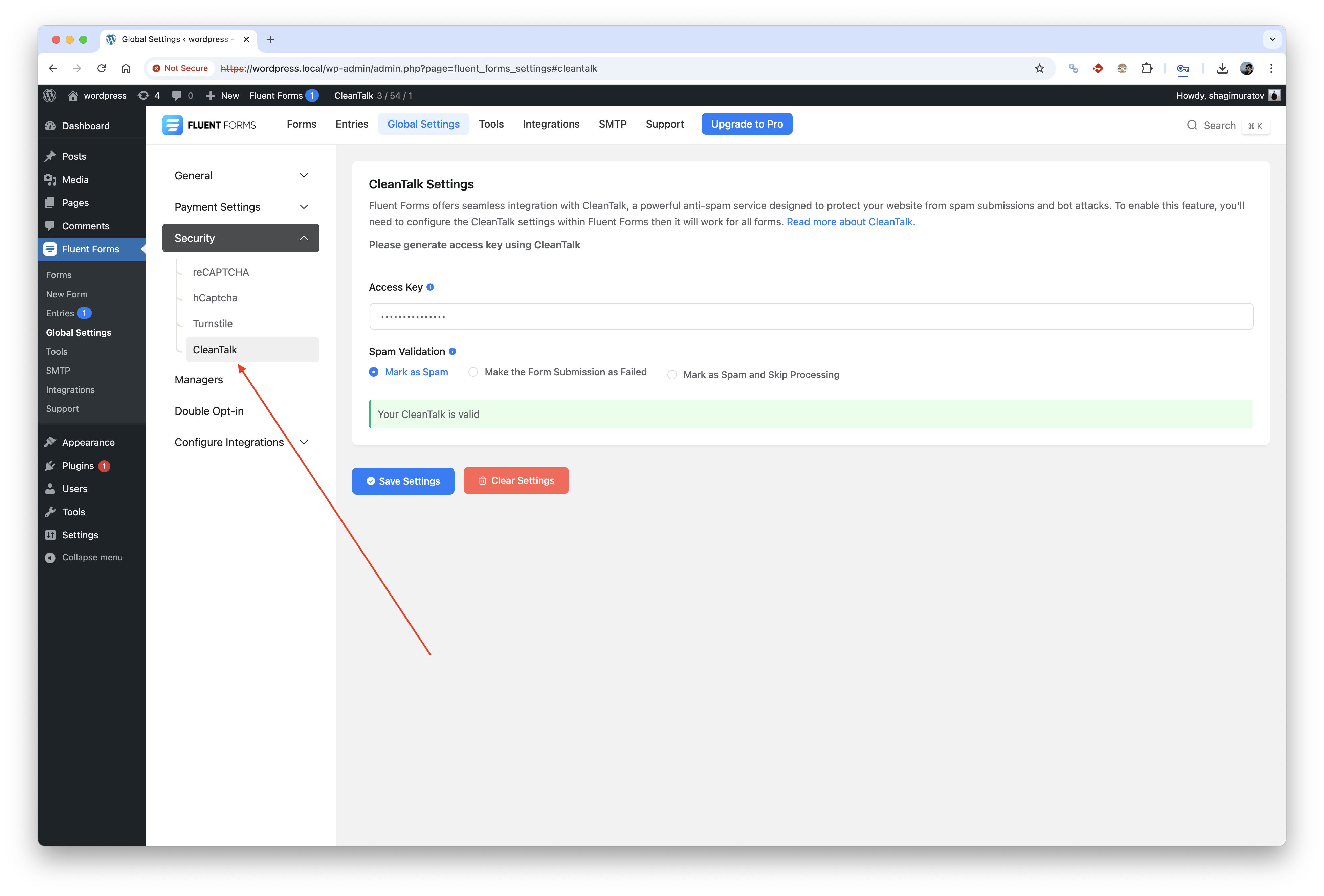 CleanTalk Anti-Spam is now available for Fluent Forms users – CleanTalk ...